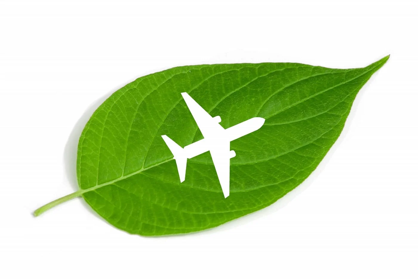 Press Release - ADVANCED ALTERNATIVES: WORLD ENERGY PARAMOUNT RENEWABLE ...