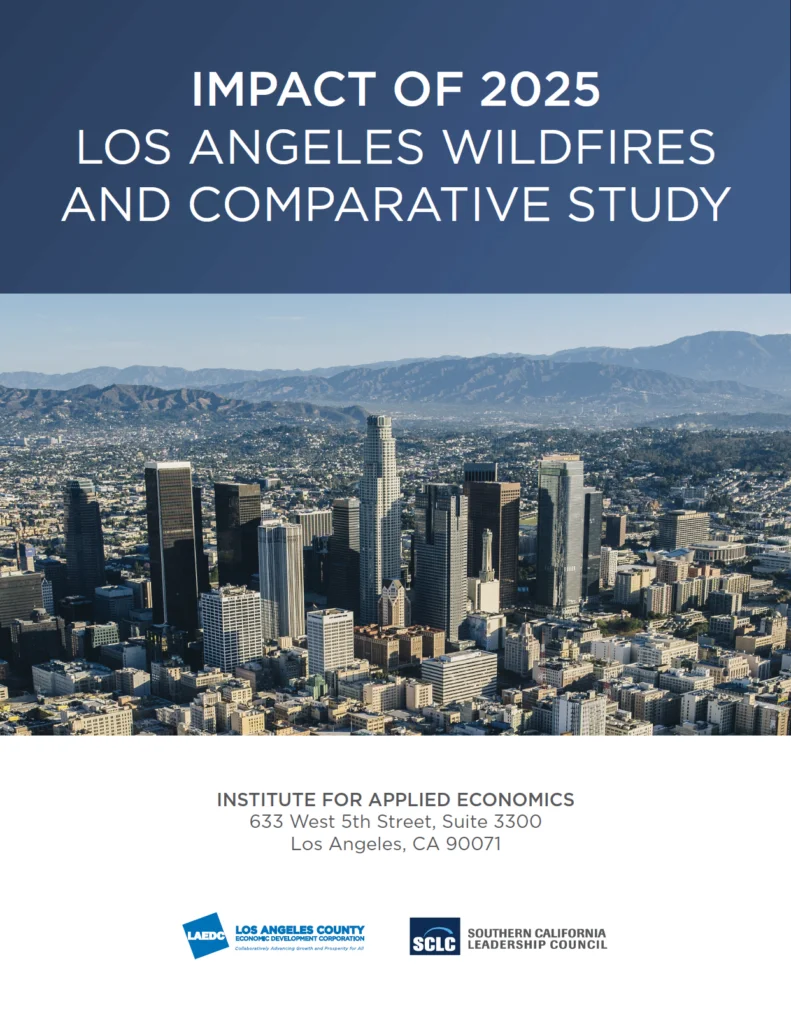 2025 LA Wildfires and Comparative Study | Los Angeles County Economic ...